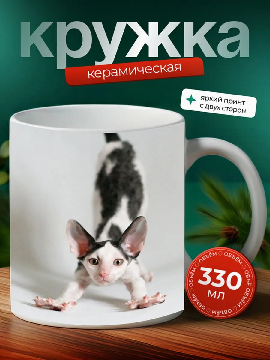 Кружка Богемский рекс кот 52,