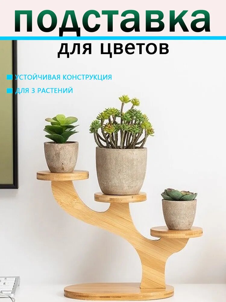 Полка Настольная, 19.5х22х11.5 см, 1 шт.