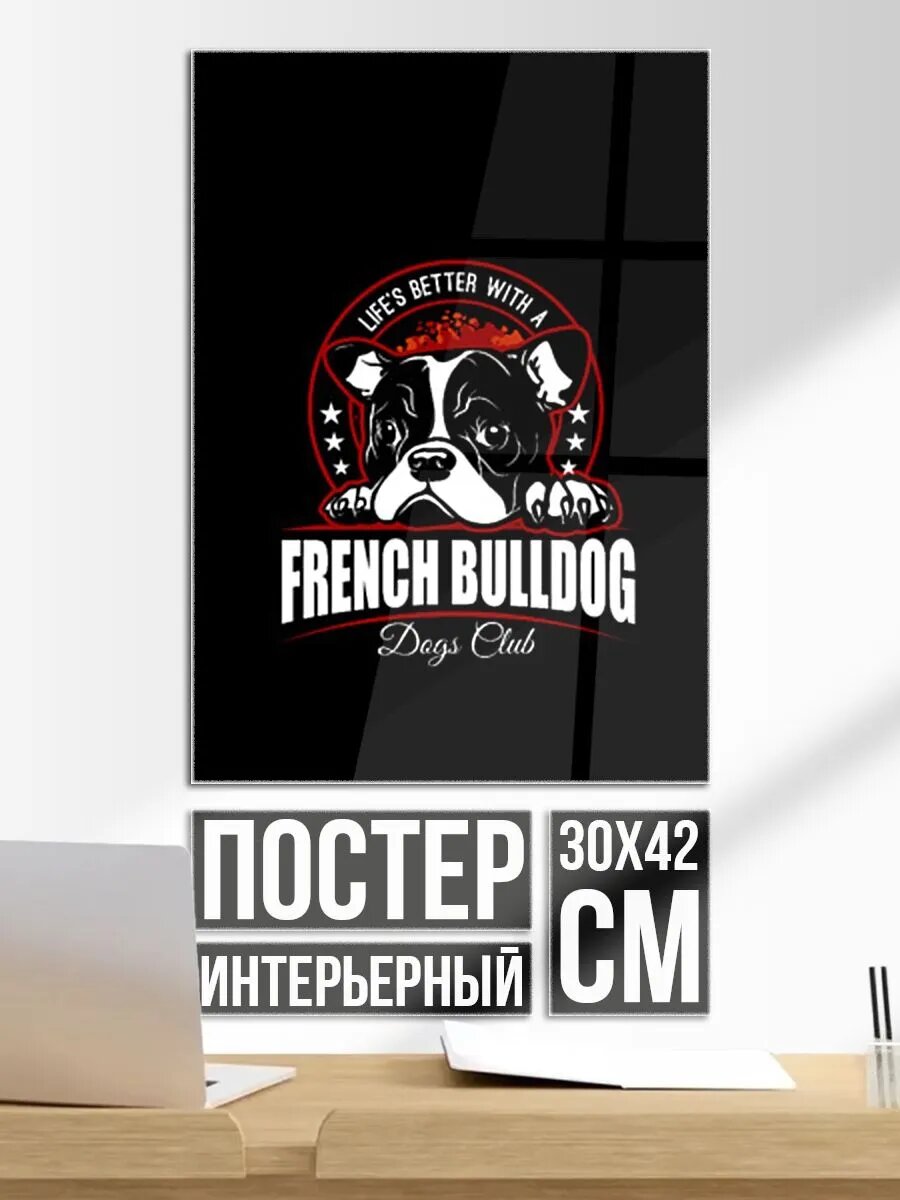 Постер на стену Французский Бульдог French Bulldog