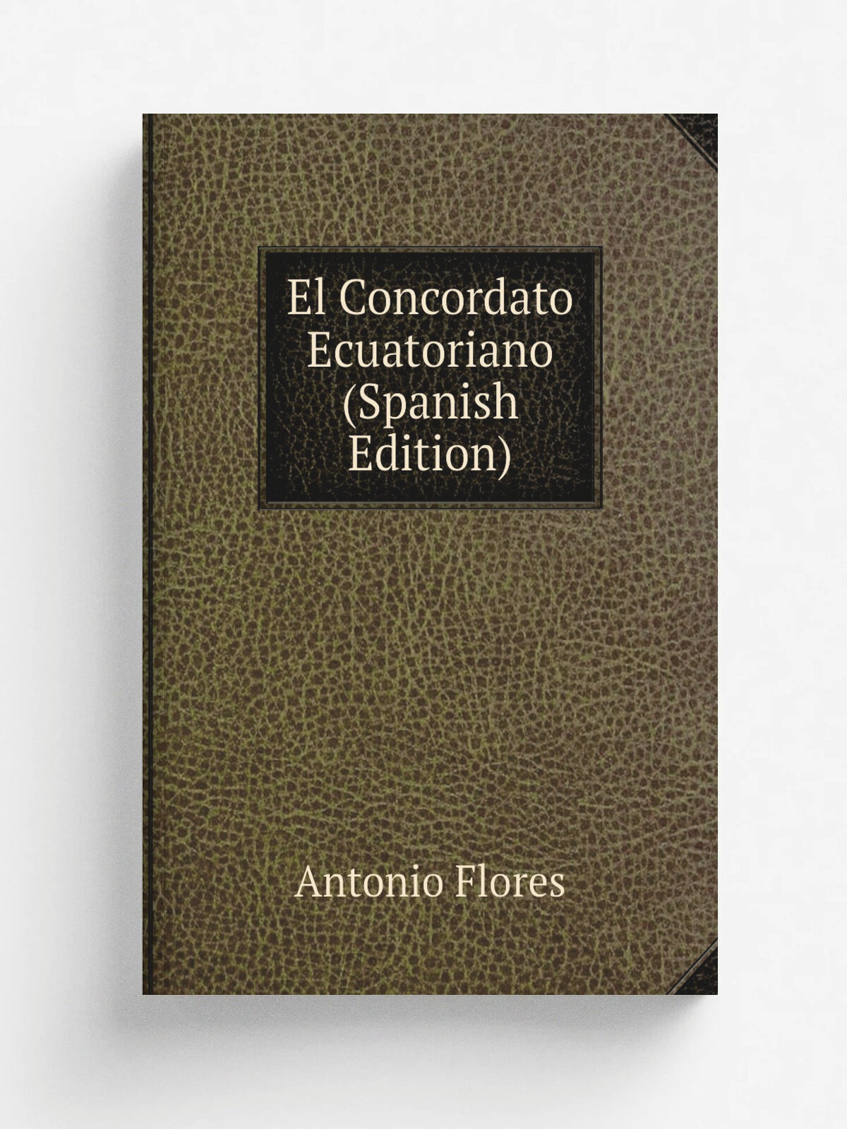 El Concordato Ecuatoriano (Spanish Edition) | Antonio Flores | Репринт