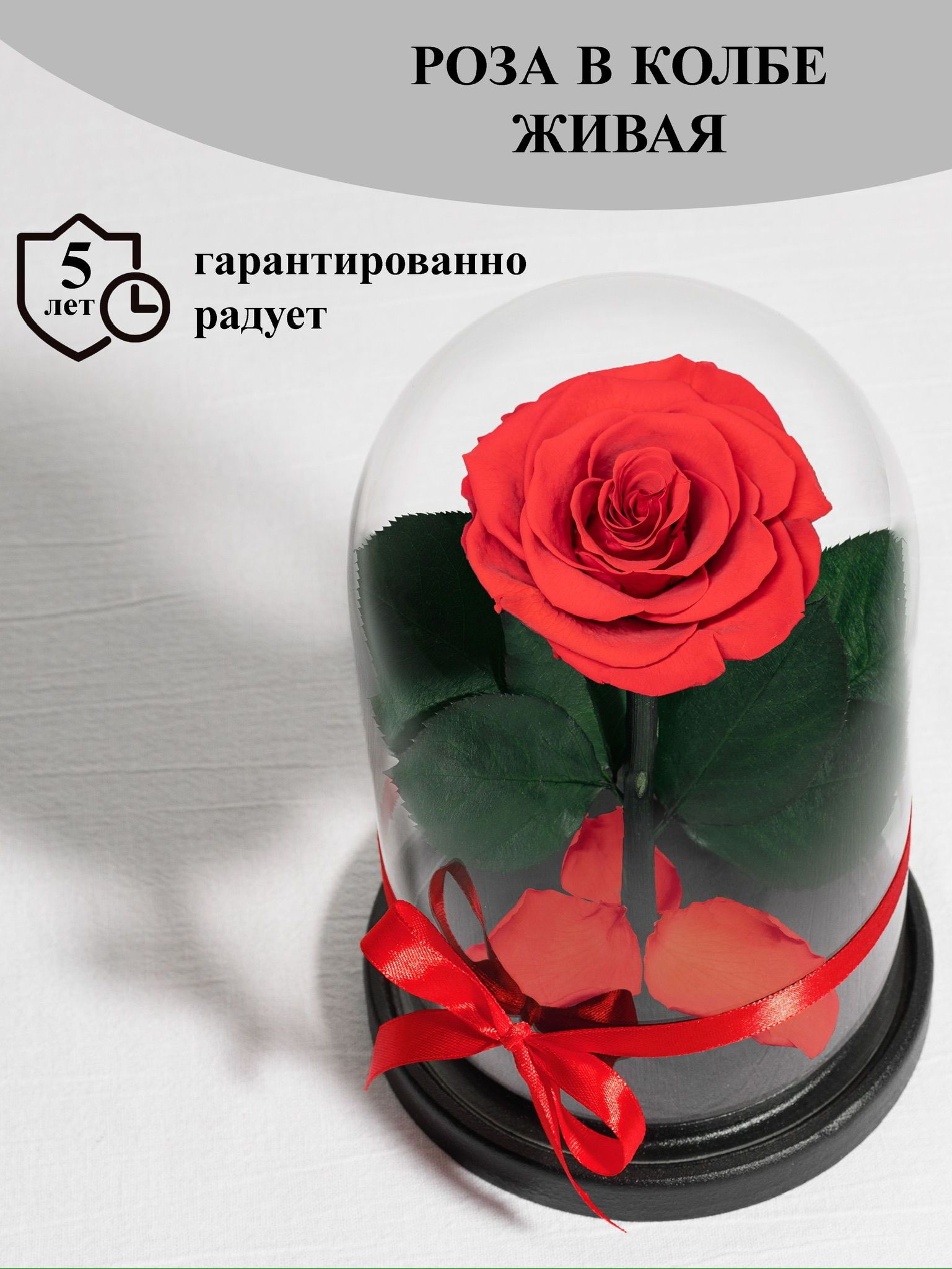 Стабилизированные цветы в стекле, Роза в колбе живая Bella красная, GIFT4YOU