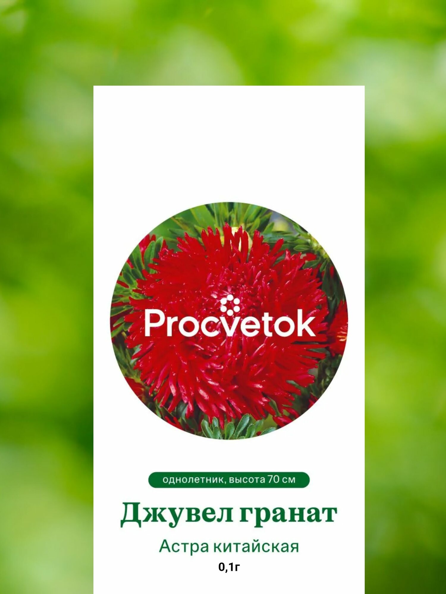 Семена Астры китайской Джувел гранат 0,1г процветок