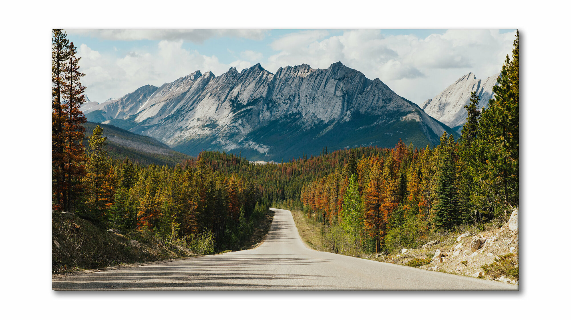 Картина для интерьера на холсте «Горы и дорога» 70х120 холст без подрамника