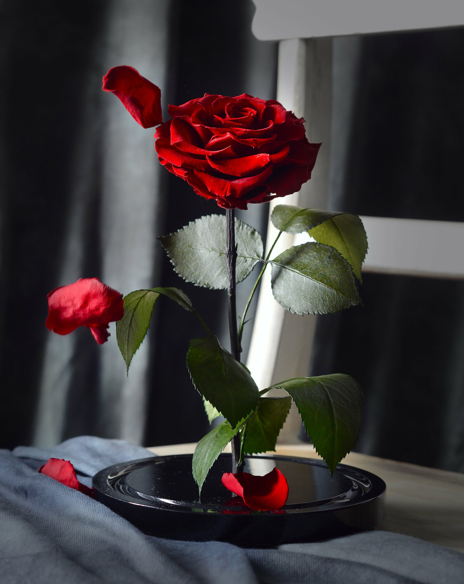 Бордовая роза в колбе "VIP" в подарочной коробке с вау-эффектом /27 см/ Живет 5 лет