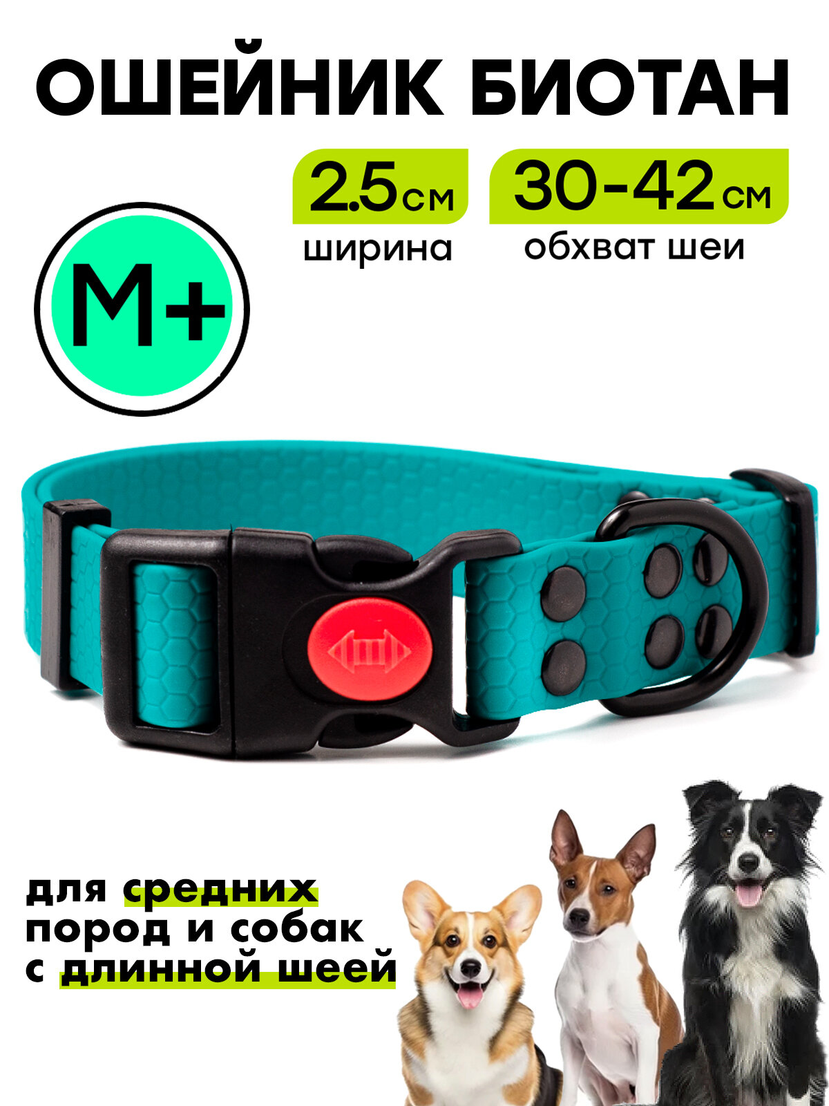 Ошейник из биотана 30-42 см (M+), 25 мм, Woofy "Iron" водостойкий, для небольших и средних собак, бирюзовый