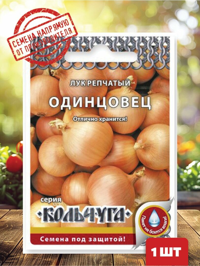 Лук репчатый Одинцовец "Кольчуга NEW", семена лука, Русский Огород