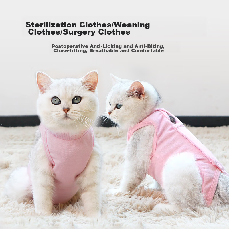 Huanchong Pet Cat Spay/neuter Suit, Cat Surgical Garment, Female Cat Clothing, Weaning Post-Surgery Recovery, Young Kitten Breathable Anti-Licking Clothing
