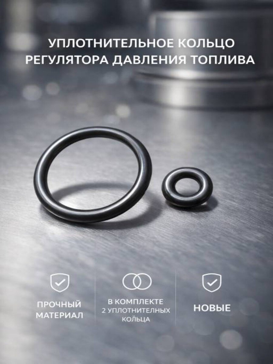 Уплотнительное кольцо регулятора давления топлива, комплект из 2 шт, графит