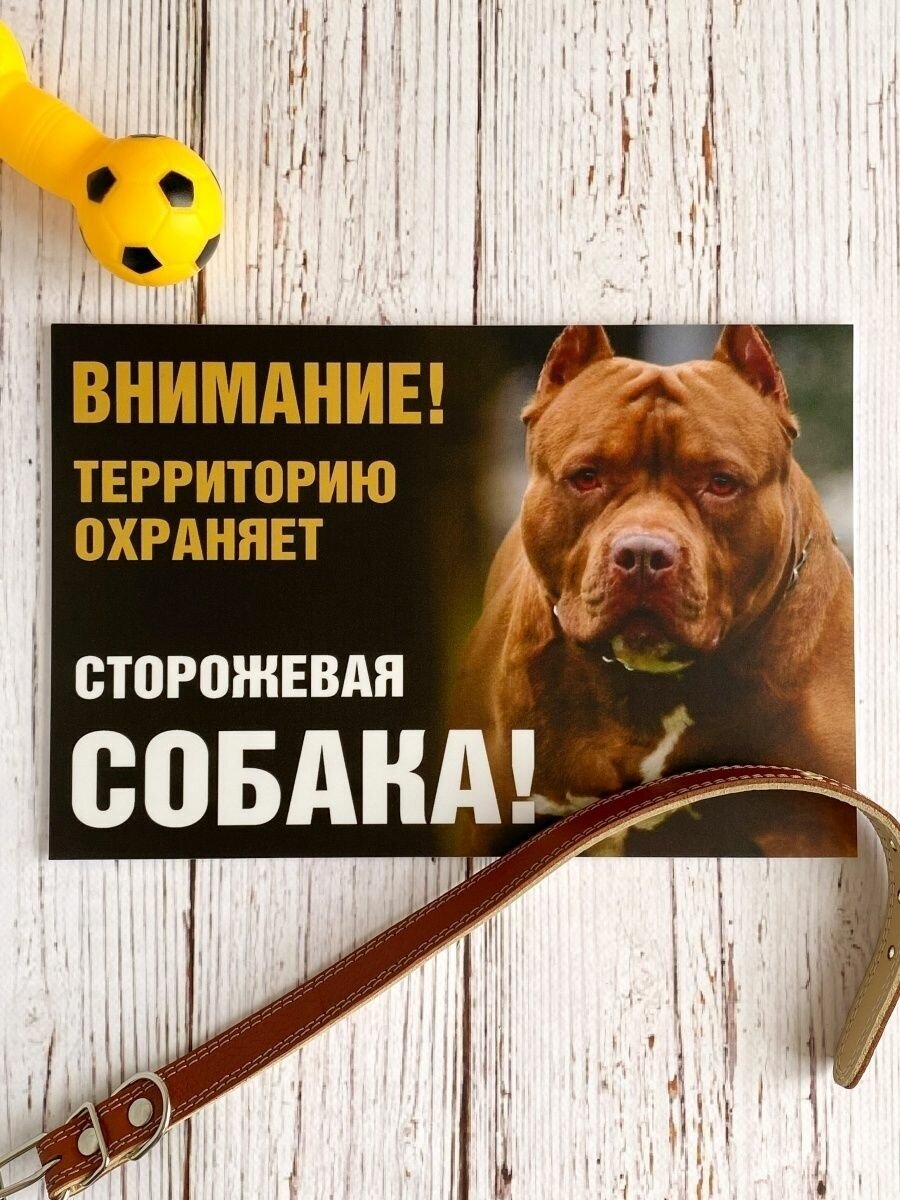 Табличка на дом Злая собака 20х30 см