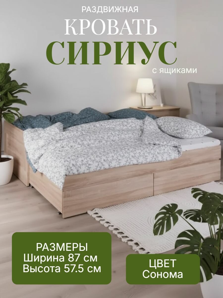 Кровать раздвижная сириус, с ящиками, 80х200/160х200 см, Сонома, ширина 90 или 160 см, трансформер для спальни компактная