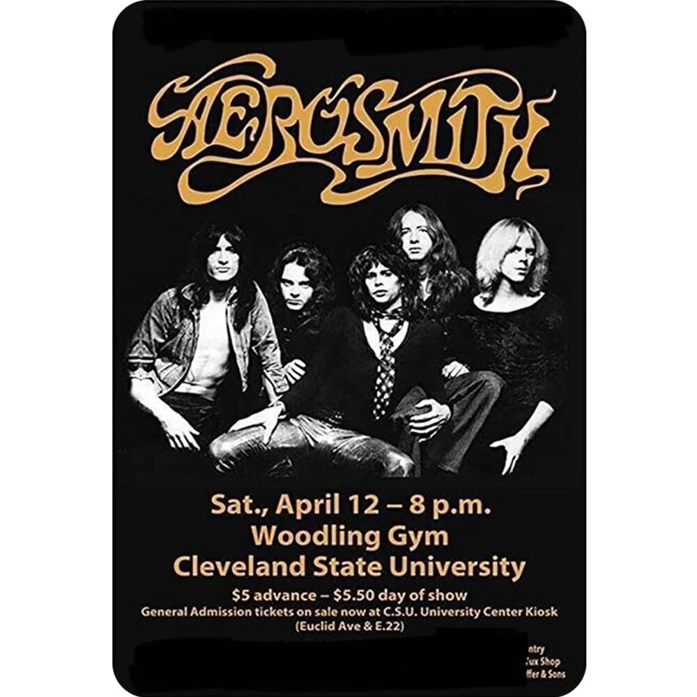Металлическая картина прямоугольная 30 20 см с изображением группы Aerosmith