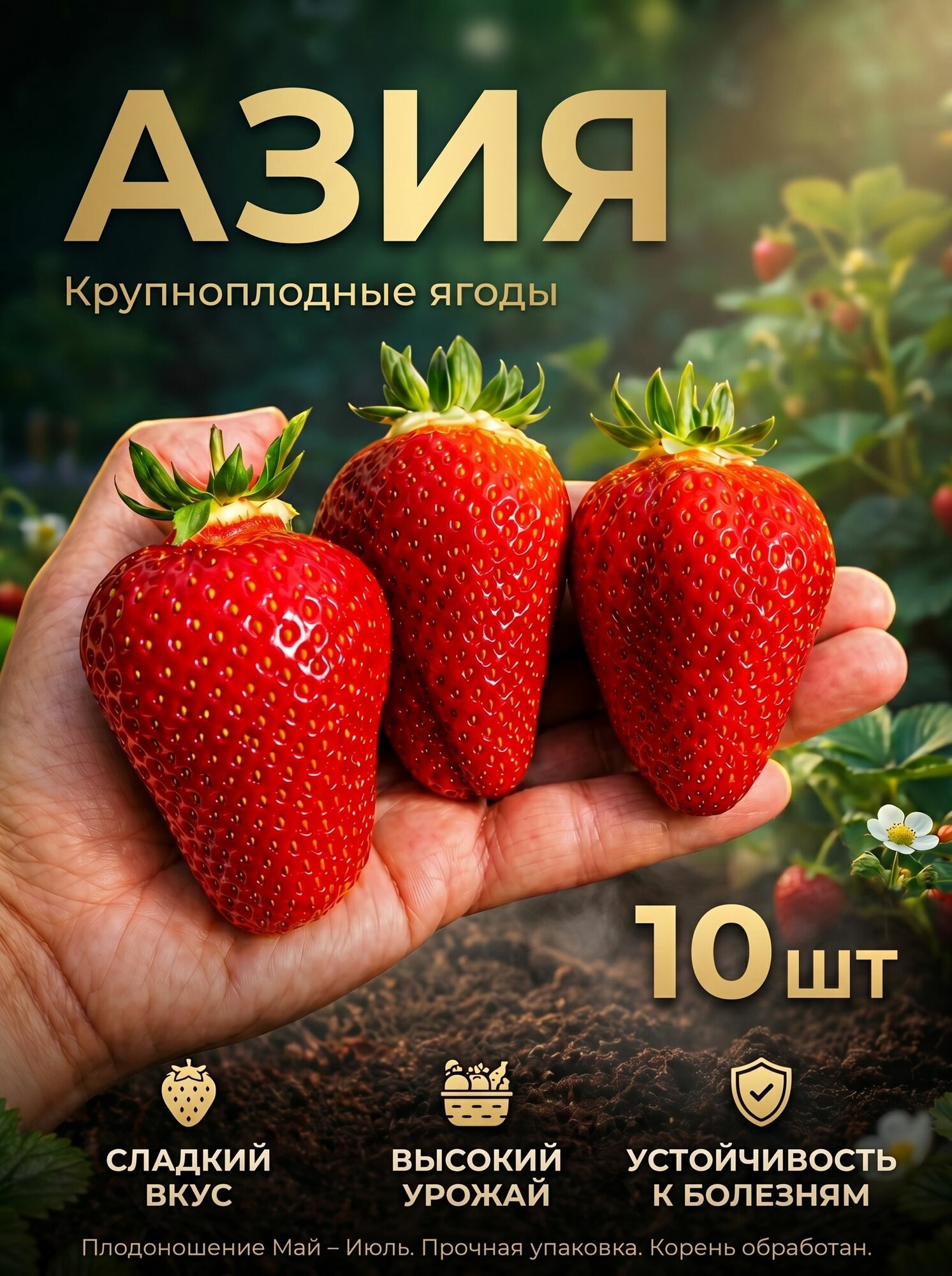 Саженцы клубники азия ремантантная 10-шт