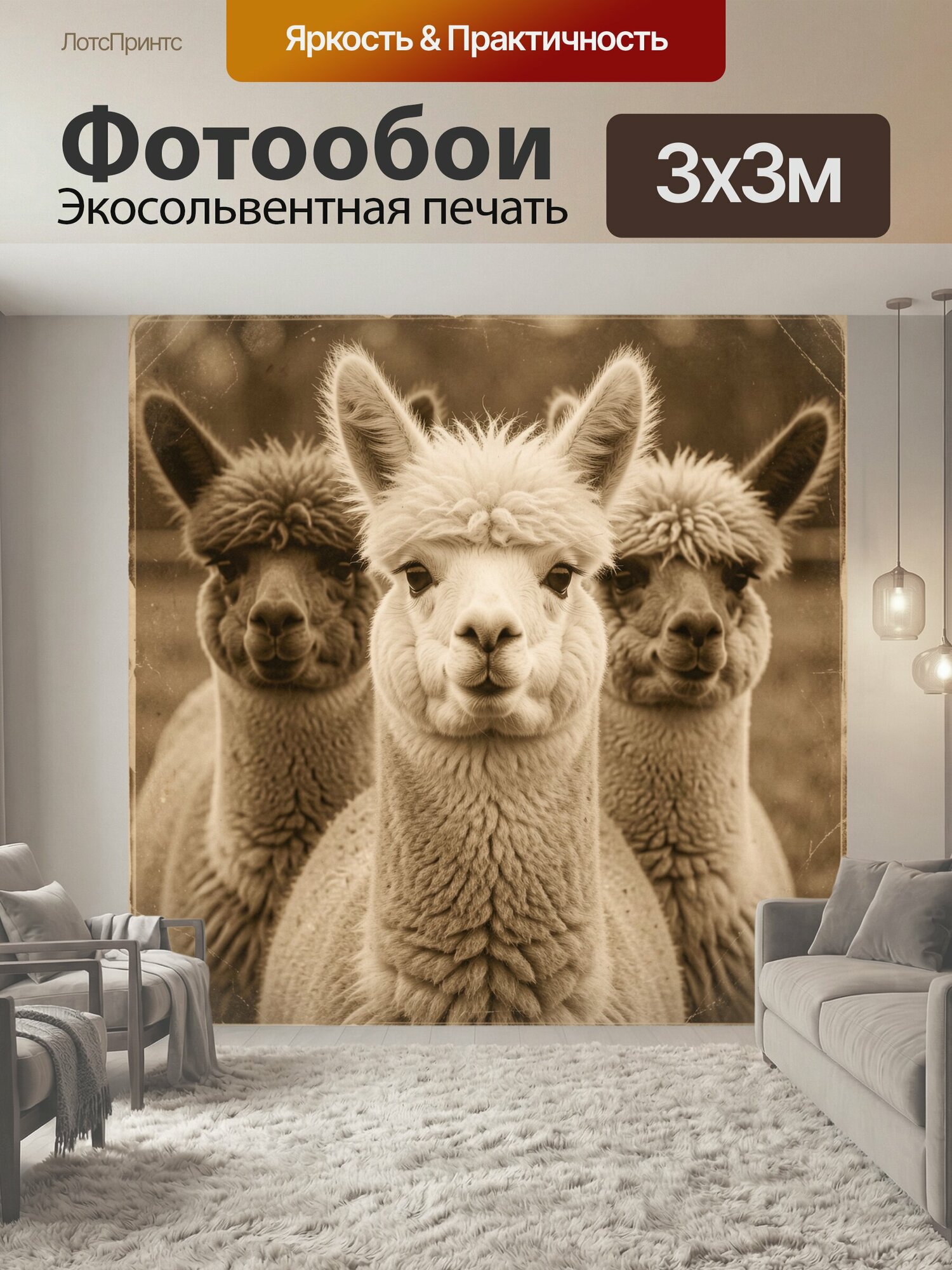 Фотообои "Три альпаки крупным планом. Пушистые южноамериканские верблюдовые в теплой сепии, центральная светлая особь на переднем плане и две." 300x300 см. экосольвентная печать