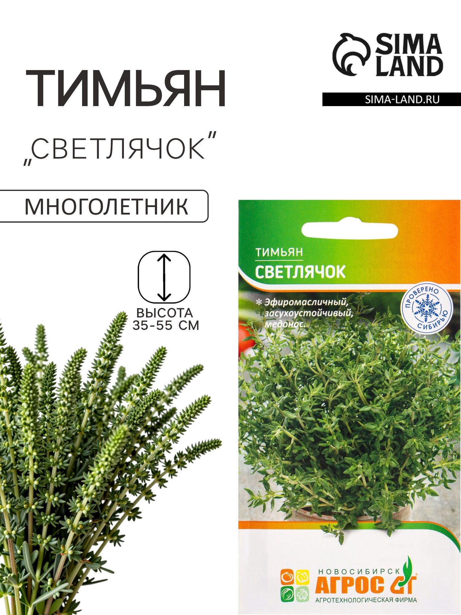 Семена Тимьян «Светлячок» 0.5 г, «Агросс»