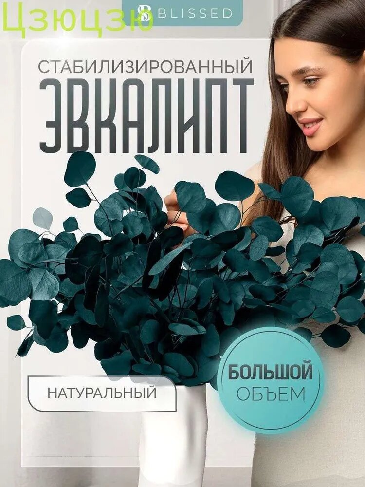 Blissed Сухоцветы Эвкалипт, 55 см, 150 гр