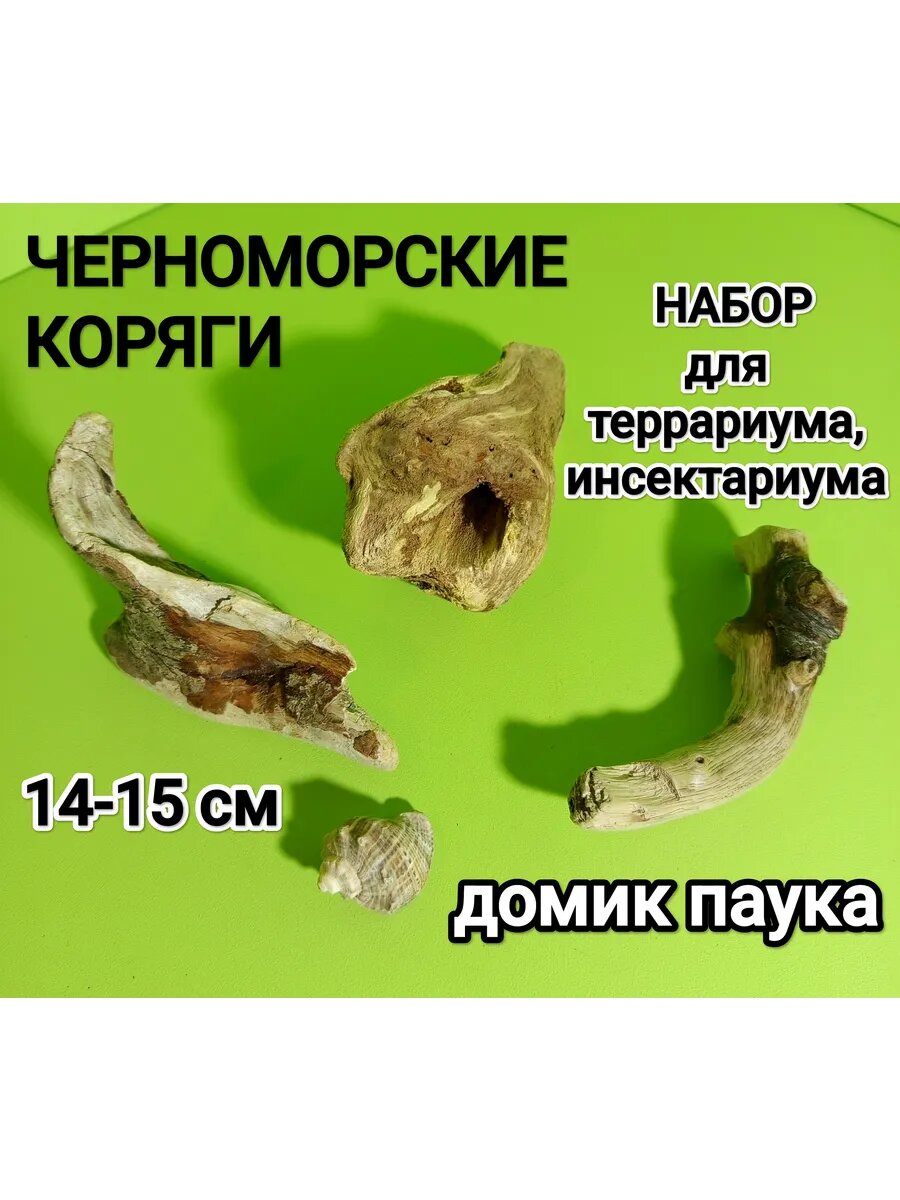 Коряги черноморские домик паука для террариума, инсектариума