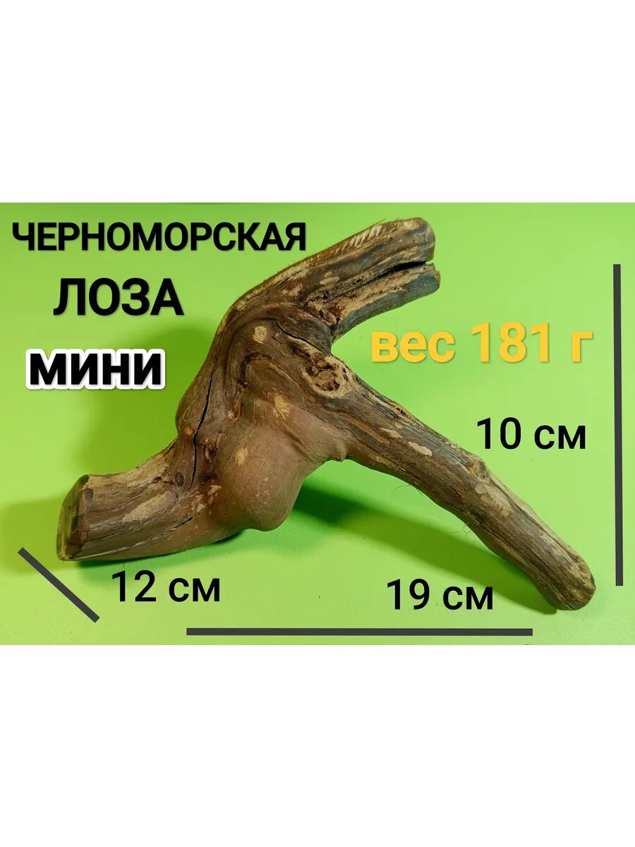 Черноморская лоза мини-коряга для декора, аквариума, тер