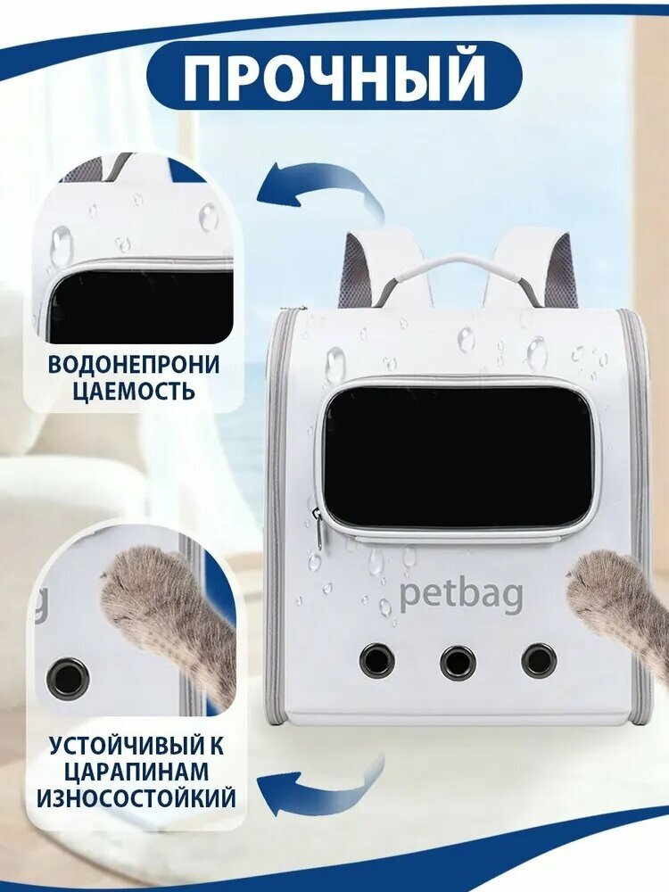 Переноска для животных — фото 1