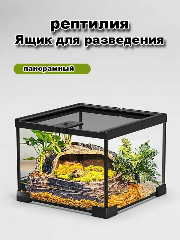 Террариум для рептилий , ящериц , хамелеона