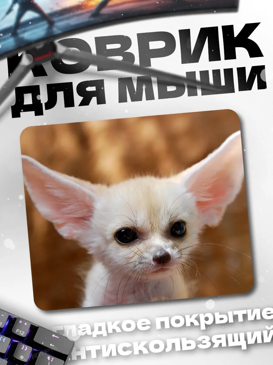 Коврик для мыши Пустынный лис фенек