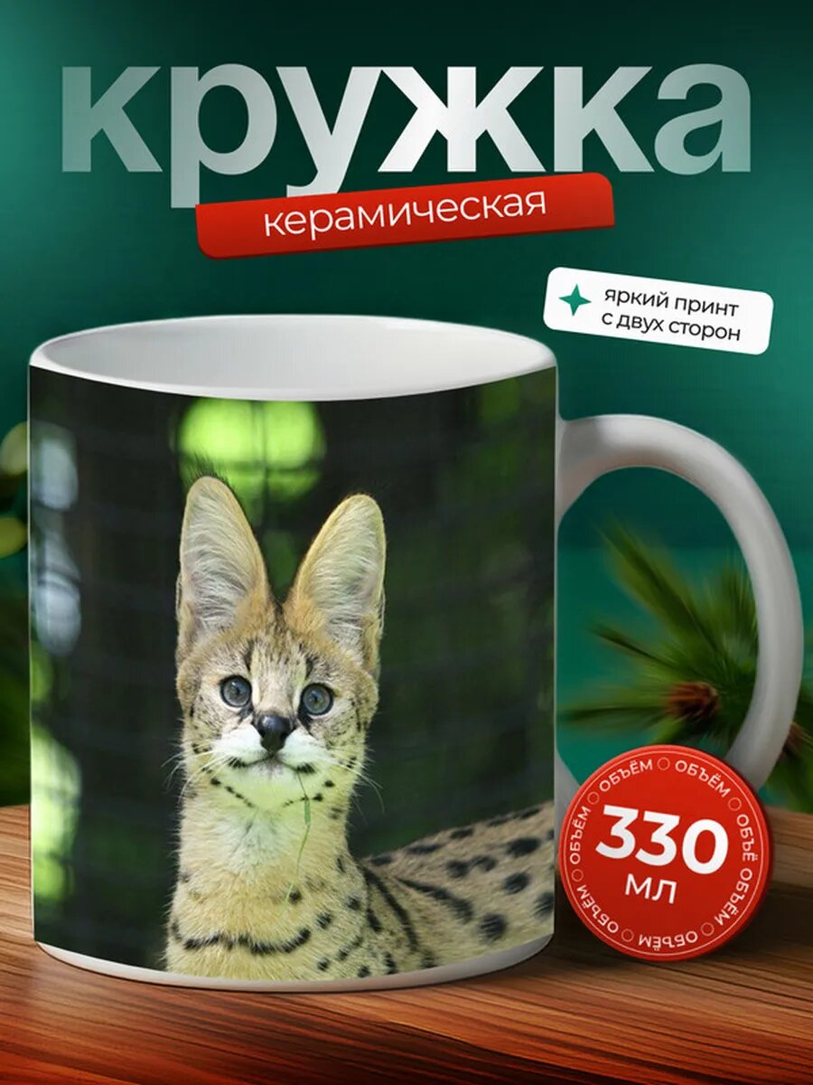 Кружка Саванна кошка 20,