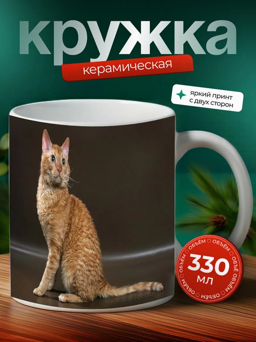 Кружка Американский рингтейл длинношерстный кот 32,