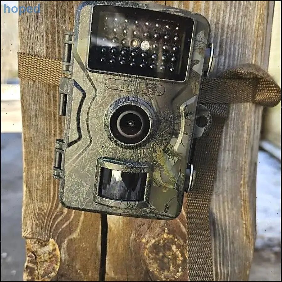 Фотоловушка — фото 1