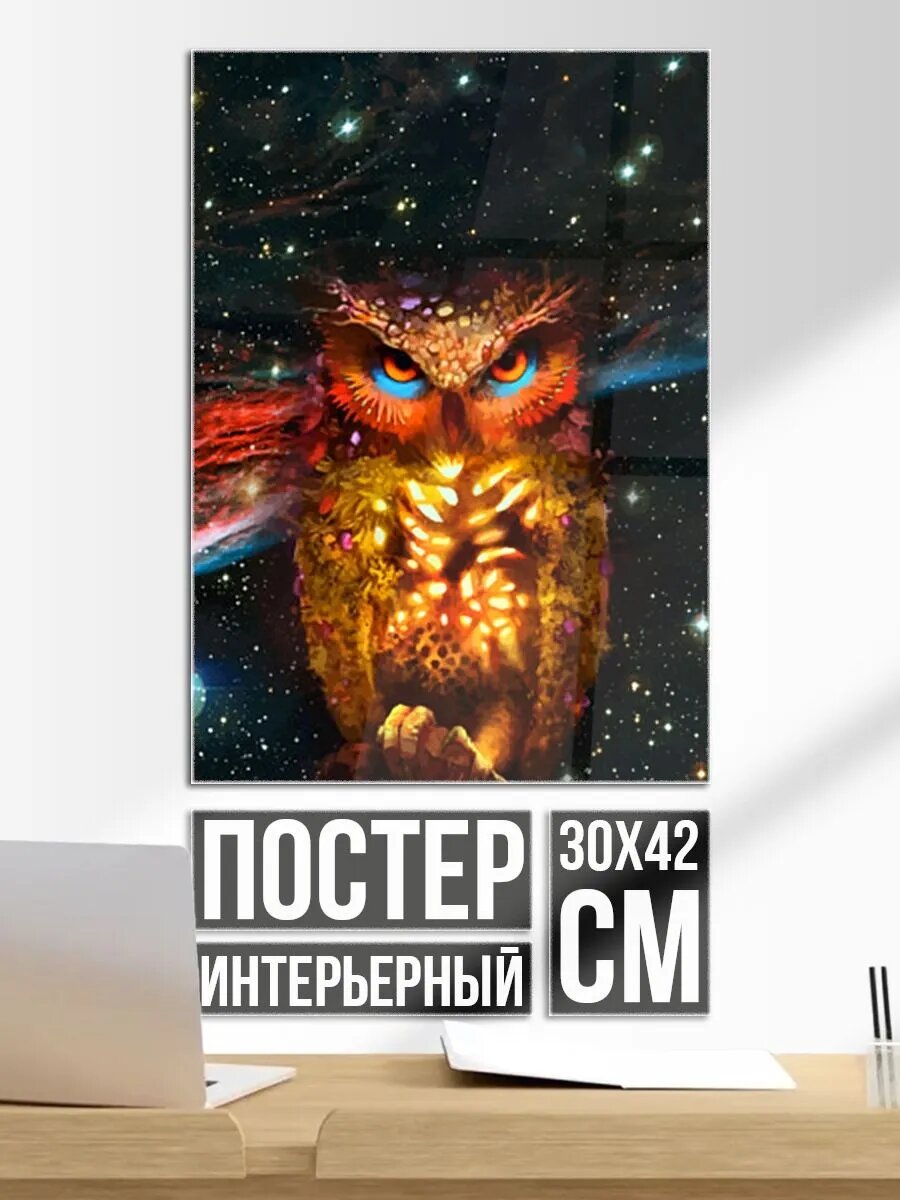 Постер на стену Космический взгляд совы