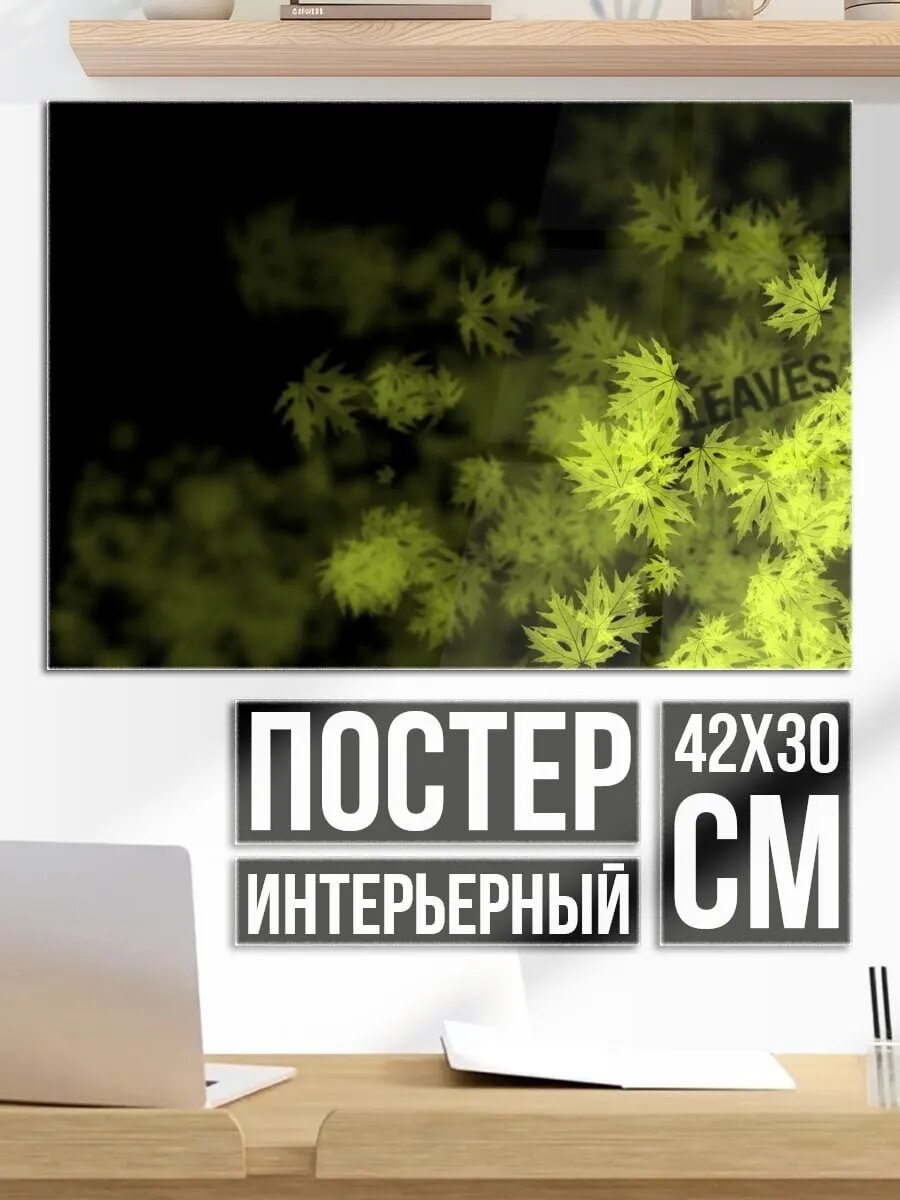 Плакат постер Листья в темноте