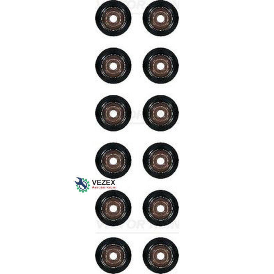 VICTOR REINZ 12-36866-01 Комплект масл. съём. колпачков (12шт)) (для впускн. клапанов)