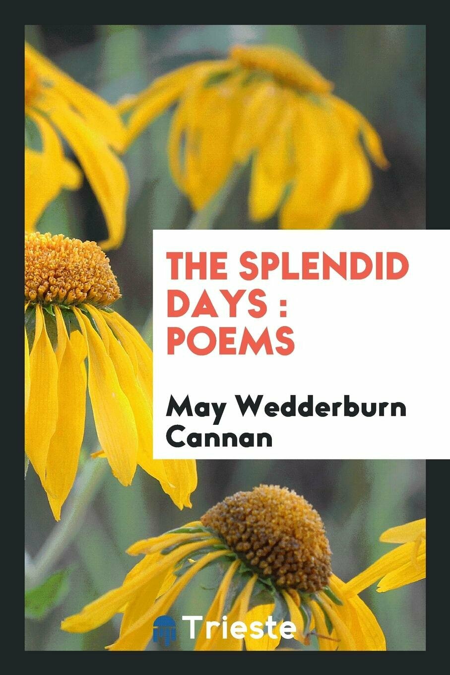 The splendid days. poems — фото 1