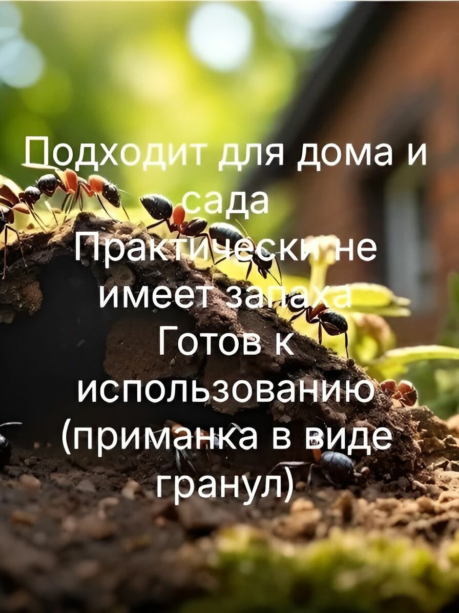 Защита от муравьев — фото 1