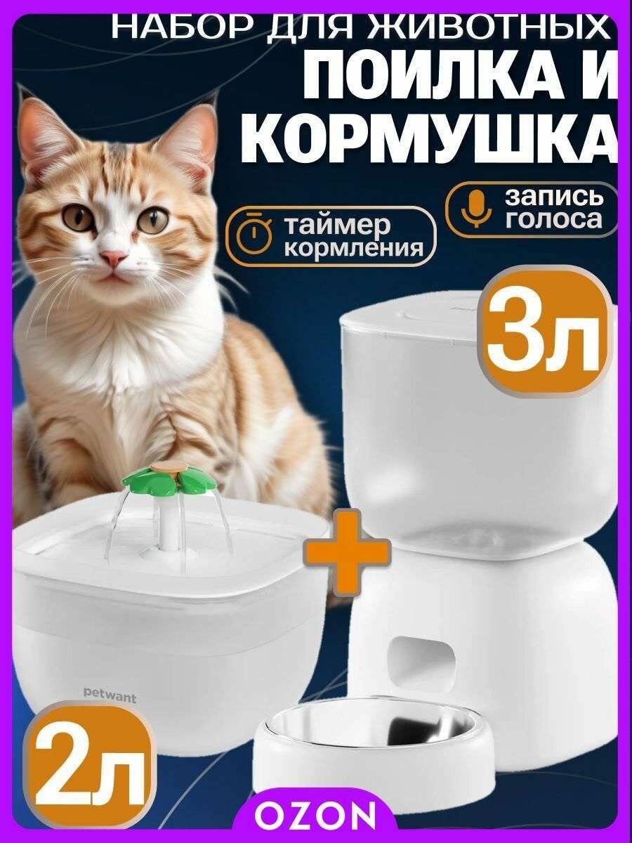 Автокормушка