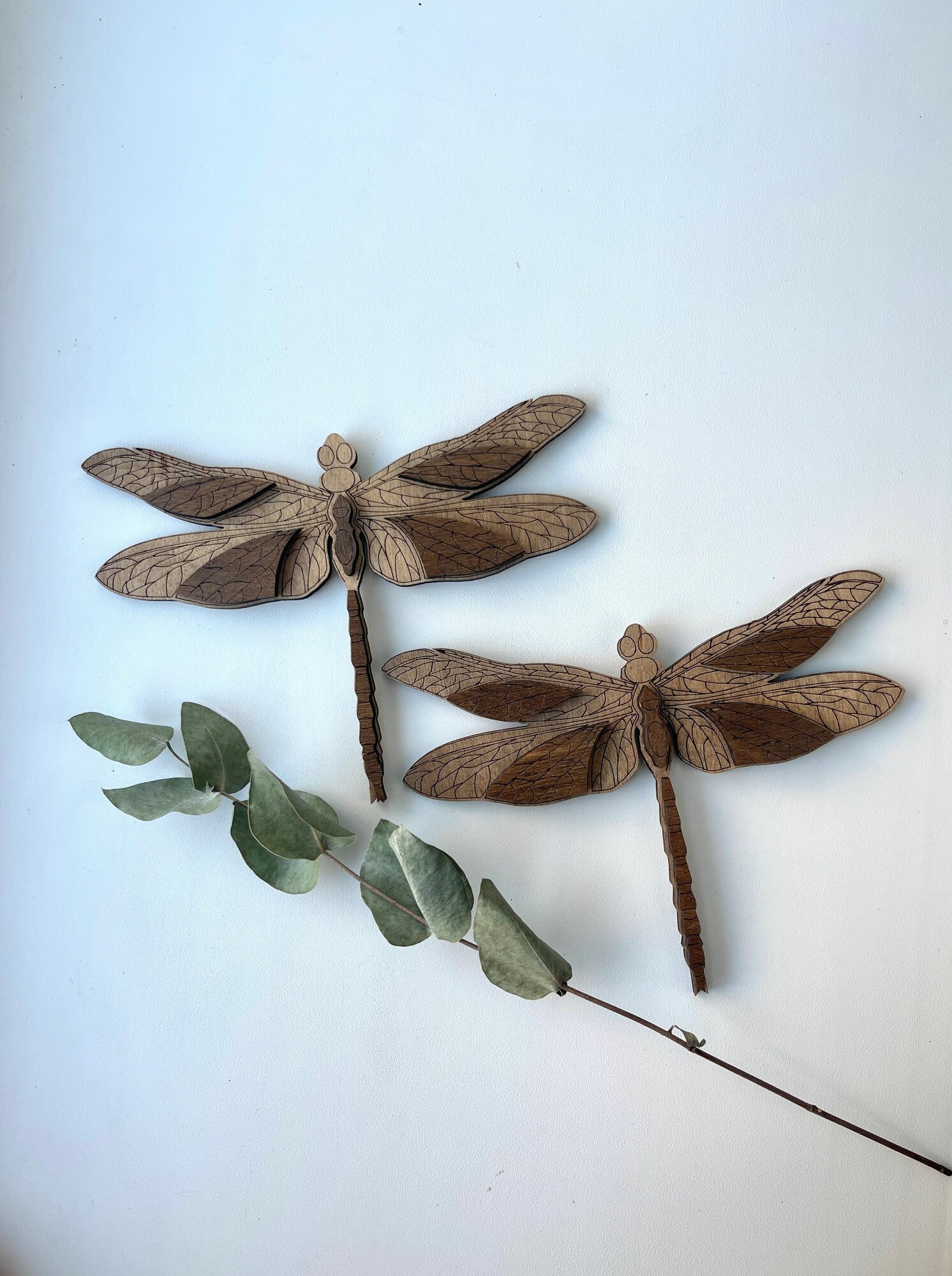 Набор стрекоз WoodpeckerDecor, 17/13 см, орех, матовая поверхность, 2шт