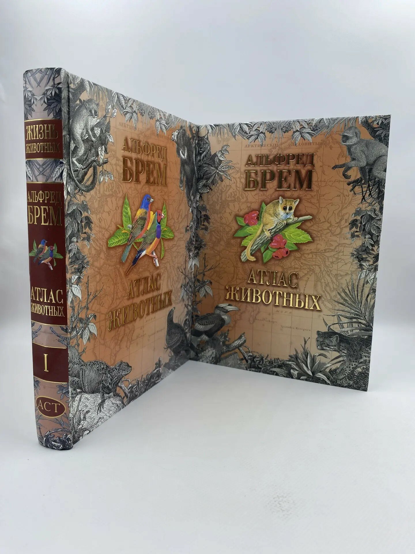 Атлас животных (комплект из 2 книг)