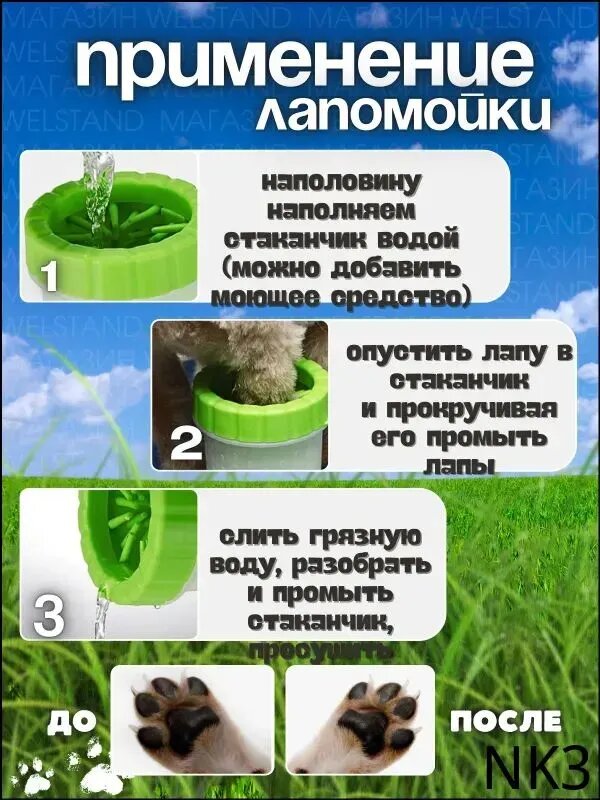 Лапомойка — фото 1