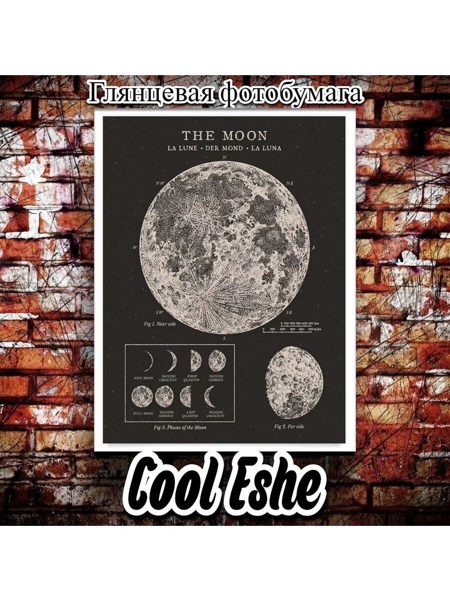 Плакат "Ч/б тона, фазы Луны, Moon" А4