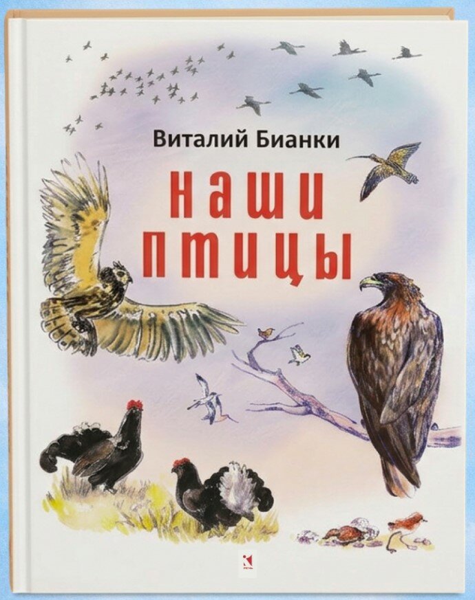 Наши птицы