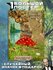 Постеры А3 Goblincore