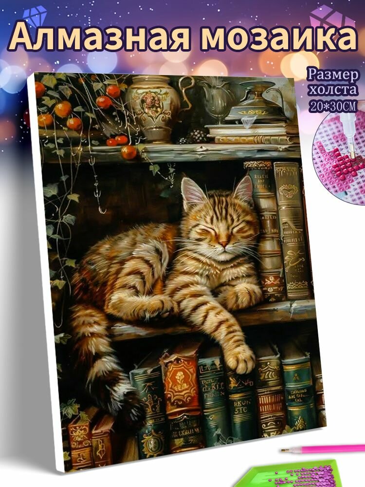 Алмазная мозаика холст на подрамнике 20x30 "Кот на книжной полке" / алмазная вышивка