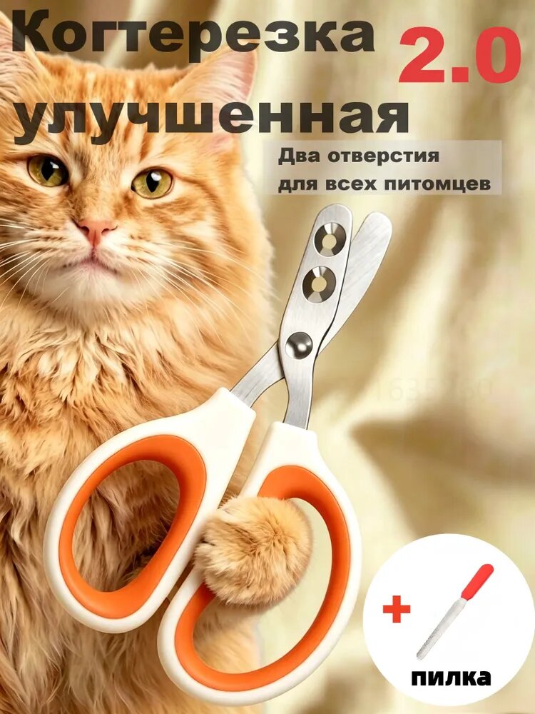 Ножницы для стрижки когтей питомцев оранжево-белого цвета, безопасный когтерез для кошек и собак