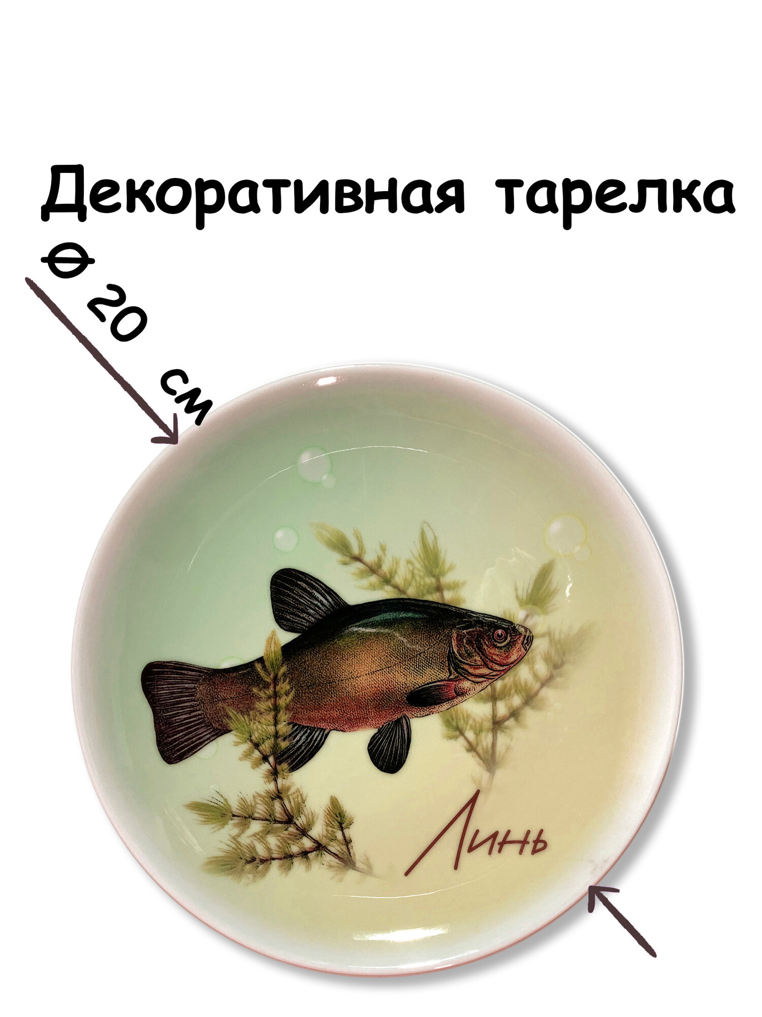 Декоративная тарелка с изображением линя исп.3т