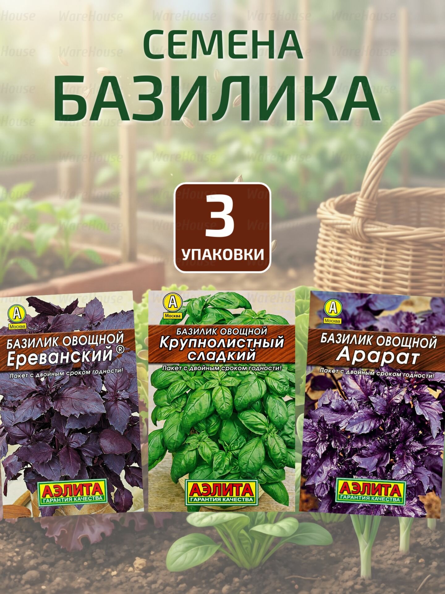 Семена Базилик овощной Арарат, Крупнолистный сладкий, Ереванский, 3 упаковки. семена базилик овощной базилик крупнолистный