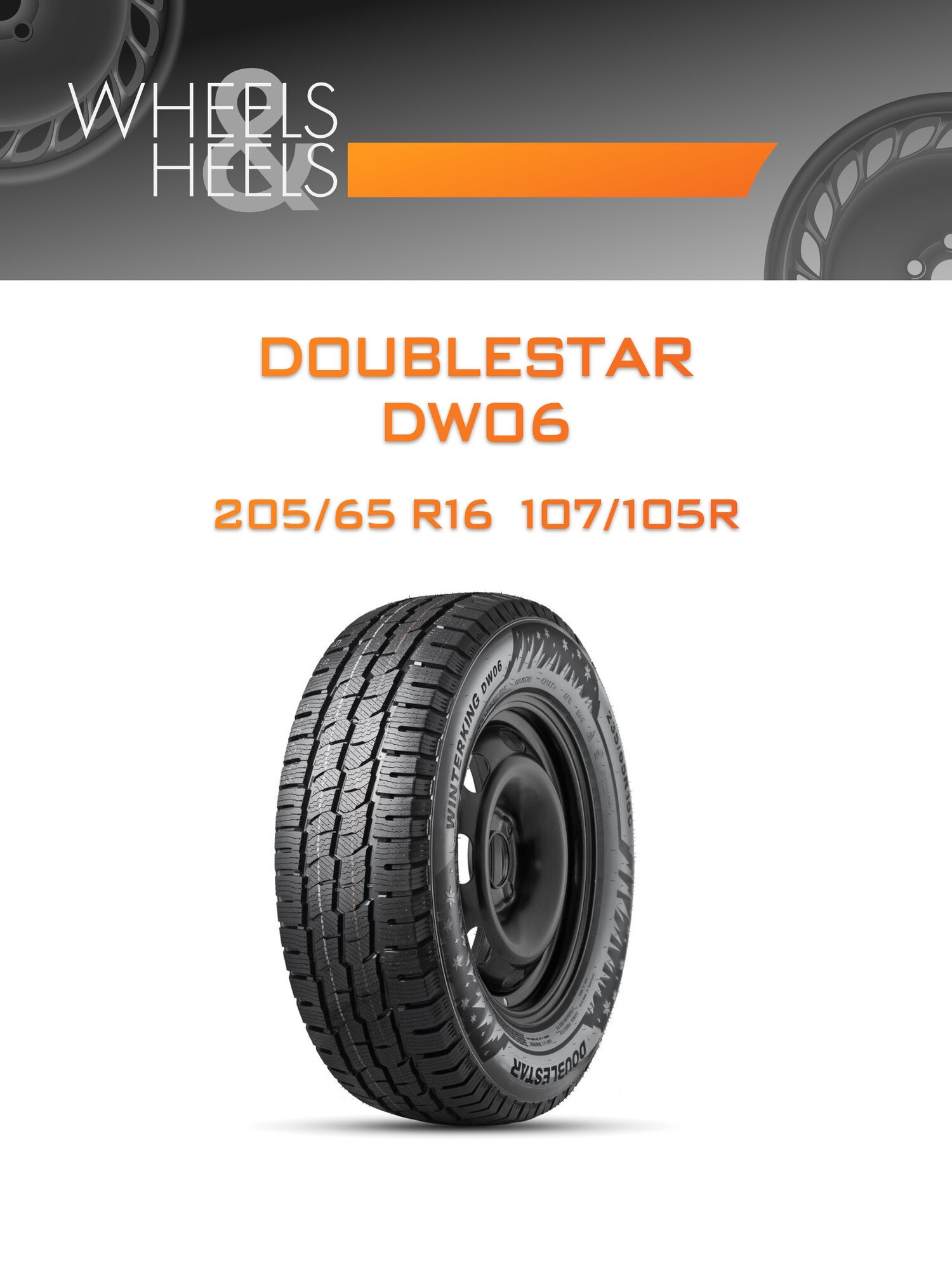 Шина автомобильная DoubleStar DW06 205/65 R16 107/105R WINTER, зимняя, универсальная