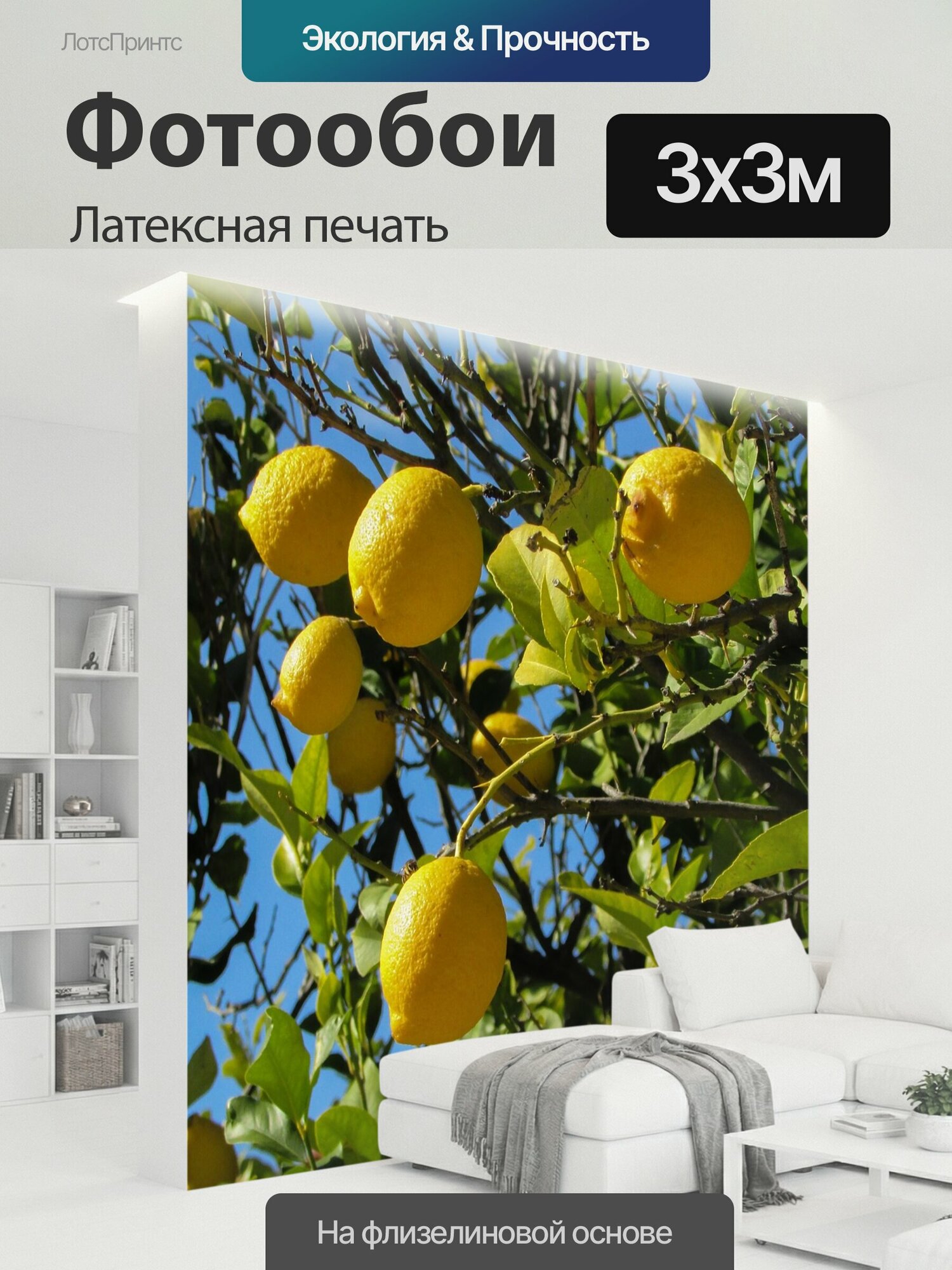 Фотообои моющиеся ударопрочные "Лимонное дерево, лимон, дерево" 300x300 см. латексная печать