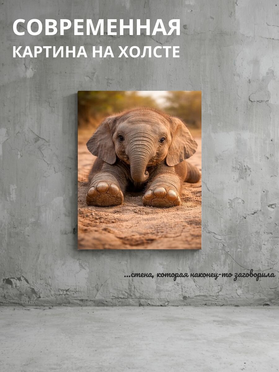 Картина на холсте Слон 30x40 см