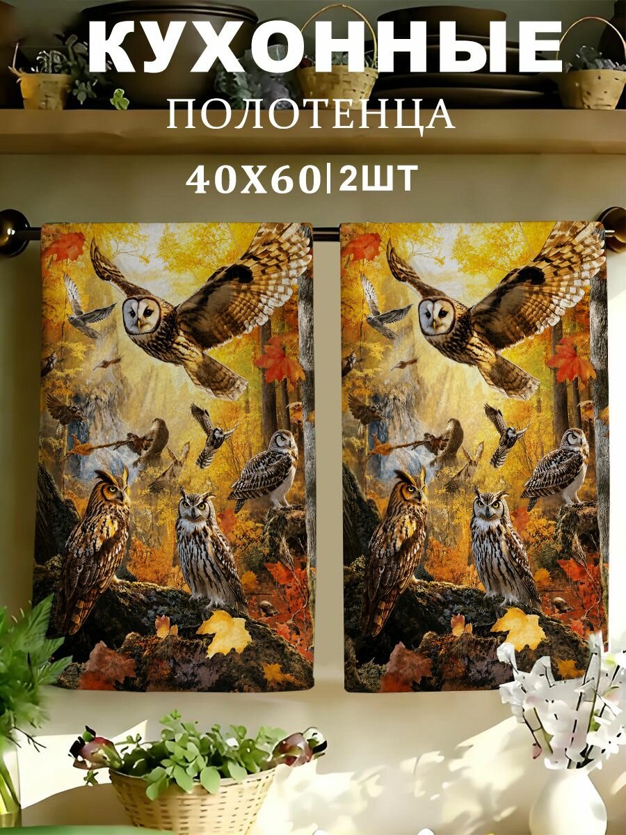 Полотенце кухонное 2, 40x60, 2шт
