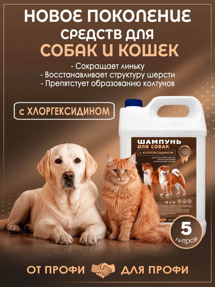Шампунь-концентрат для собак 5л с хлоргексидином