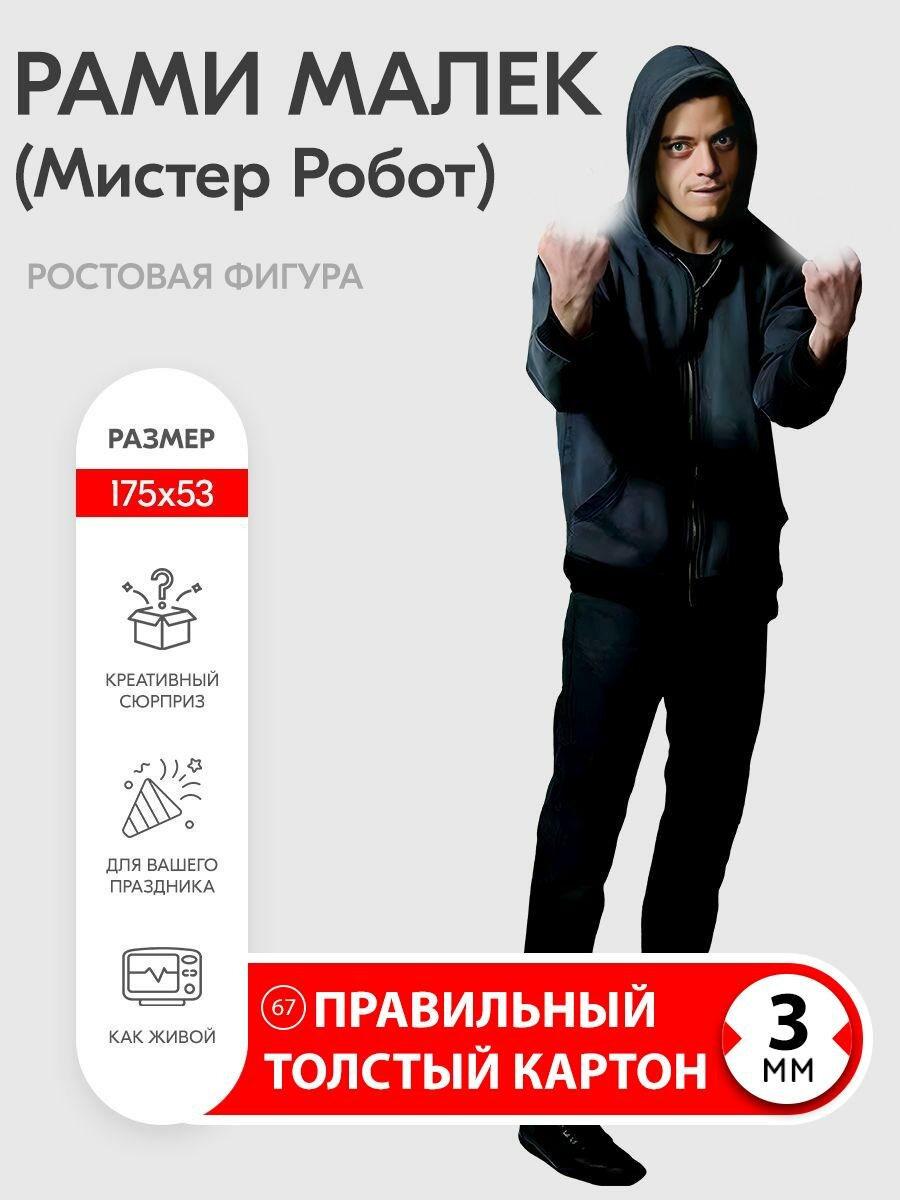 Аксессуар для фотосессий, Рами Малек (Мистер Робот), ростовая фигура