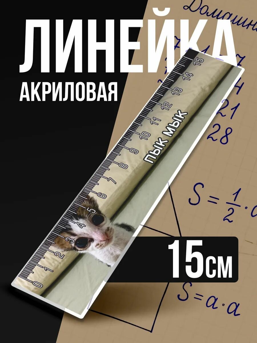 Линейка 15 см Мем Котик Пык мык